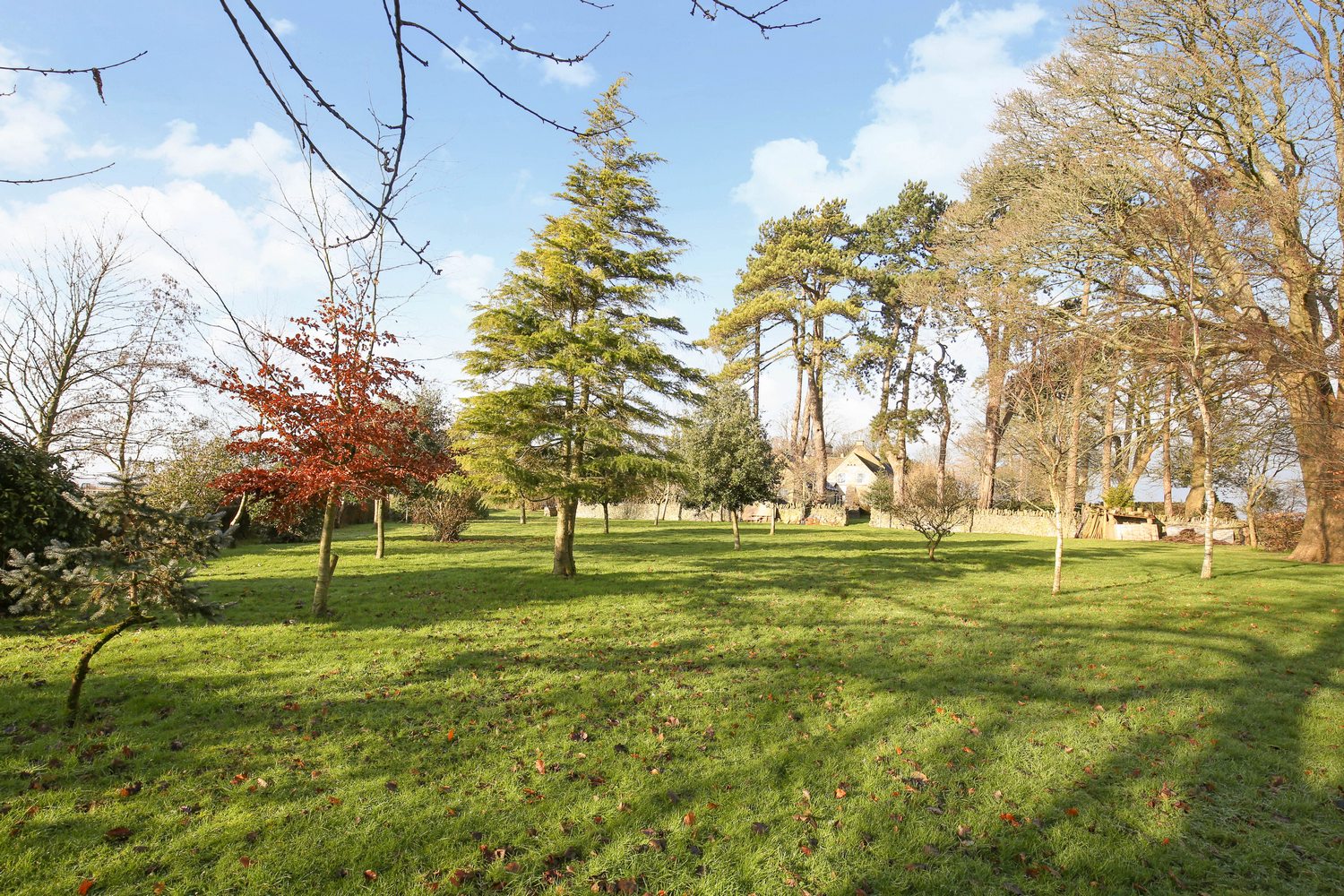 Windmill Place - Whitaker Seager